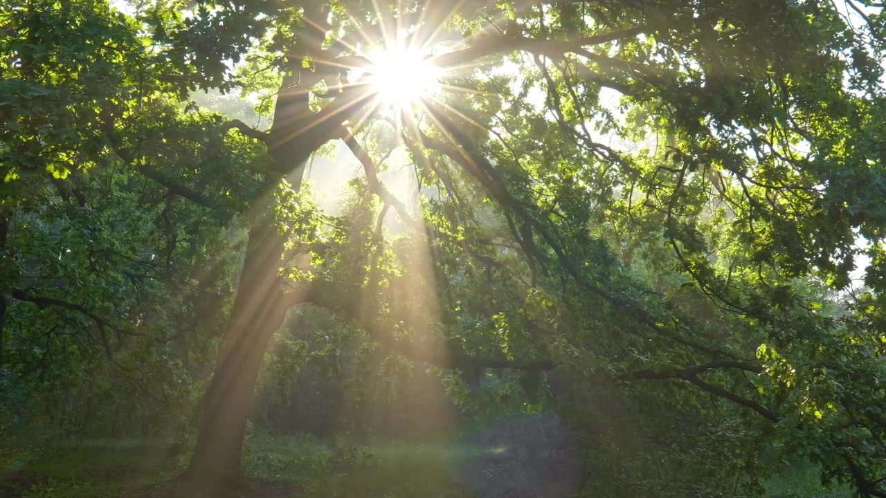 Traueranzeigen von Michael Slota | trauer-in-thueringen.de